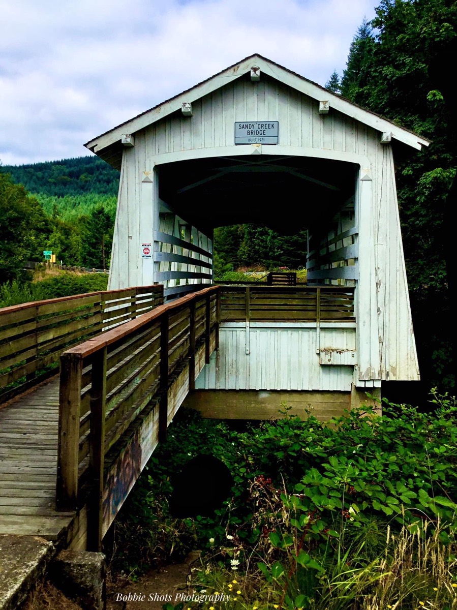 Solve Oregon jigsaw puzzle online with 192 pieces