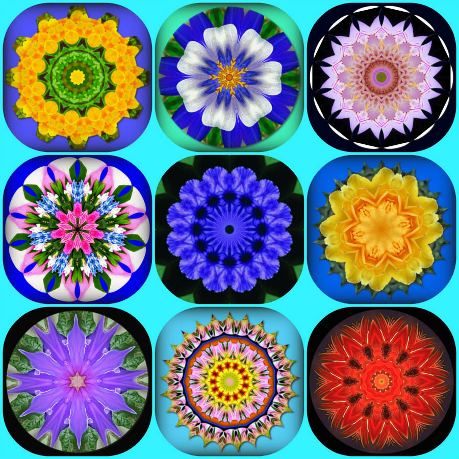 Solve Collage 3x3 jigsaw puzzle online with 36 pieces