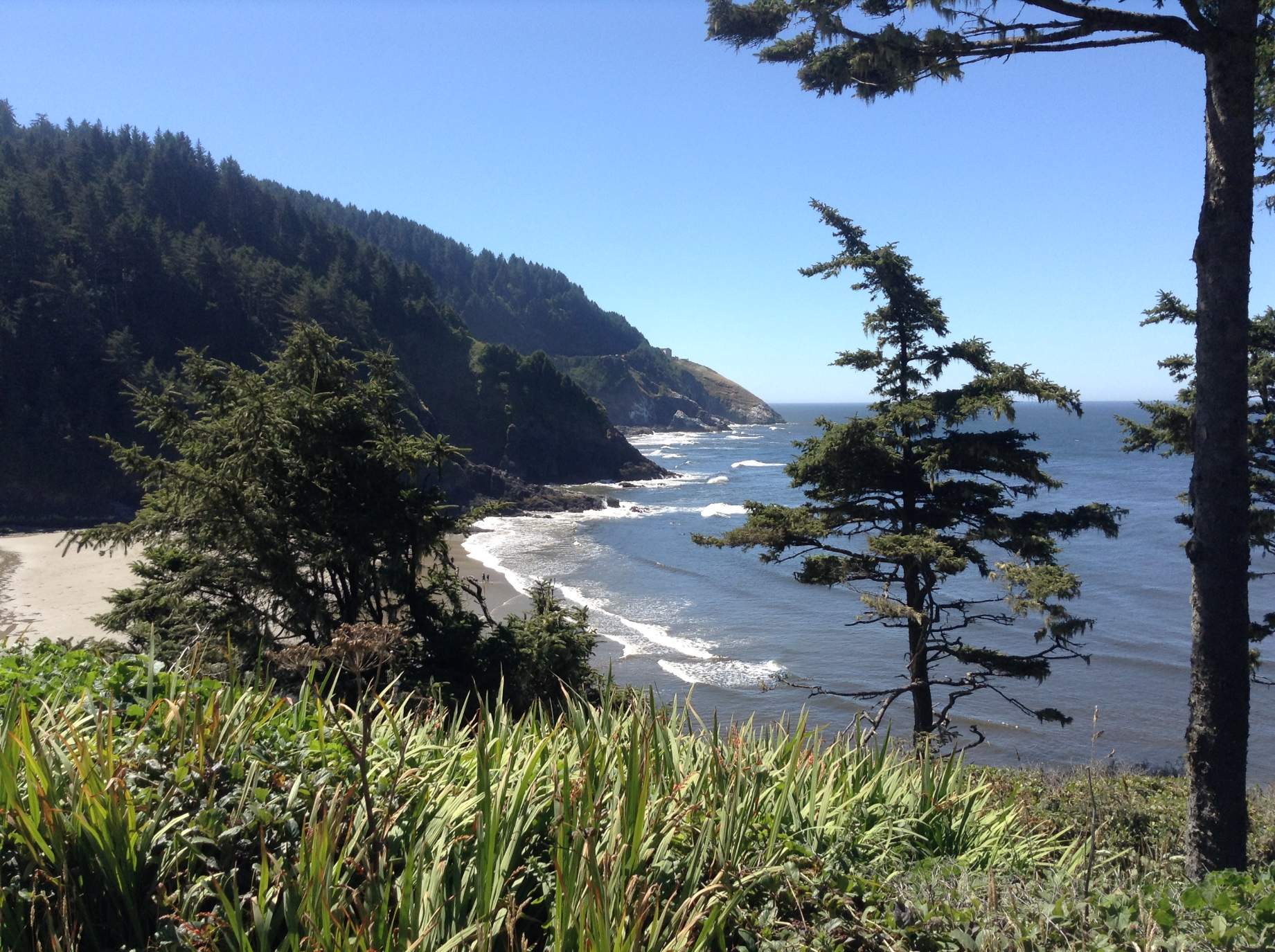 Solve Oregon Coast jigsaw puzzle online with 165 pieces