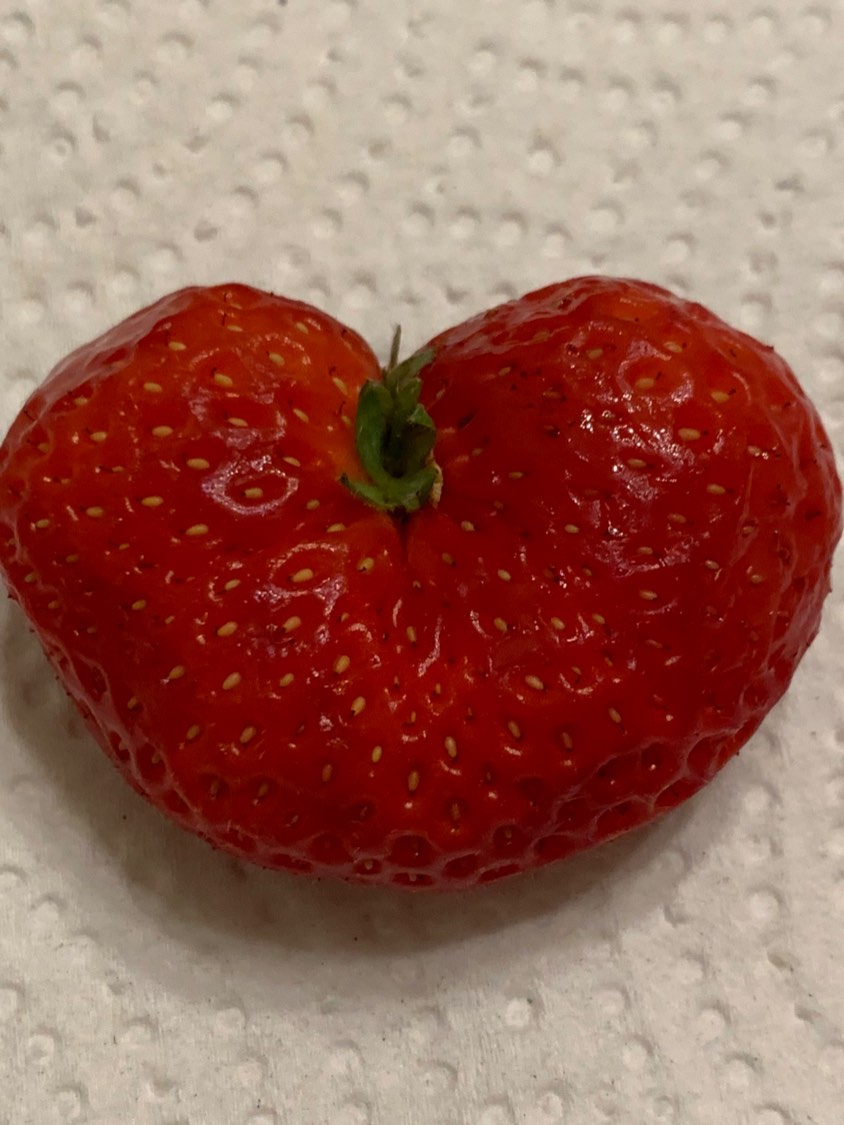 Solve Perfect Strawberry jigsaw puzzle online with 30 pieces