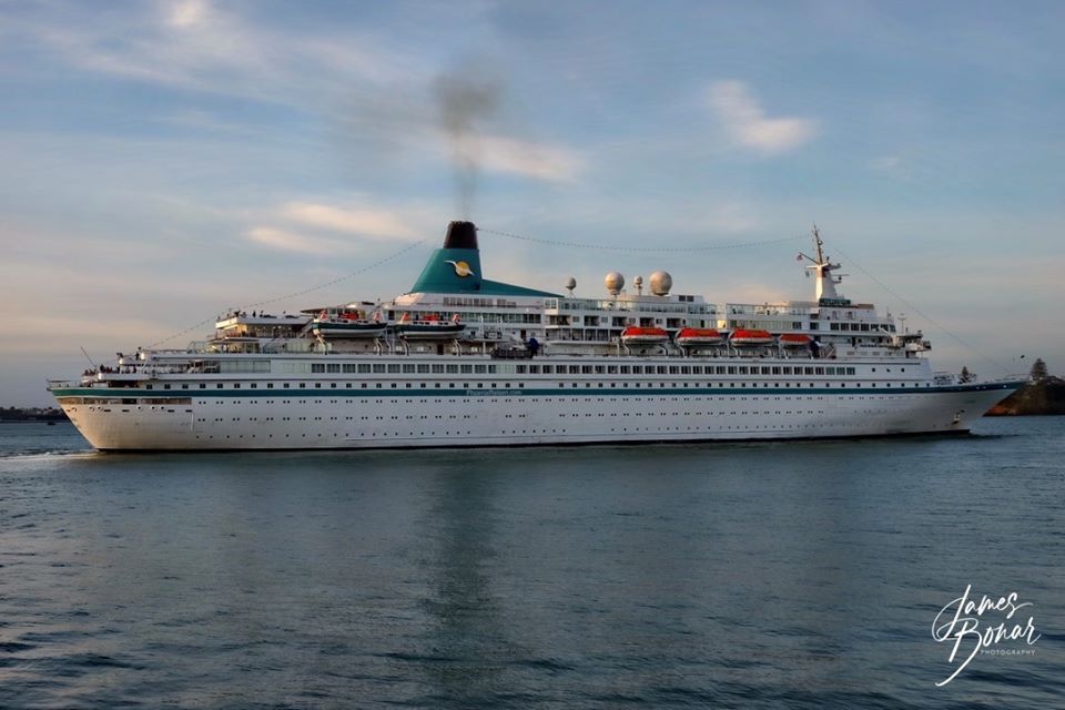 Solve ALBATROS of Phoenix Reisen jigsaw puzzle online with 24 pieces