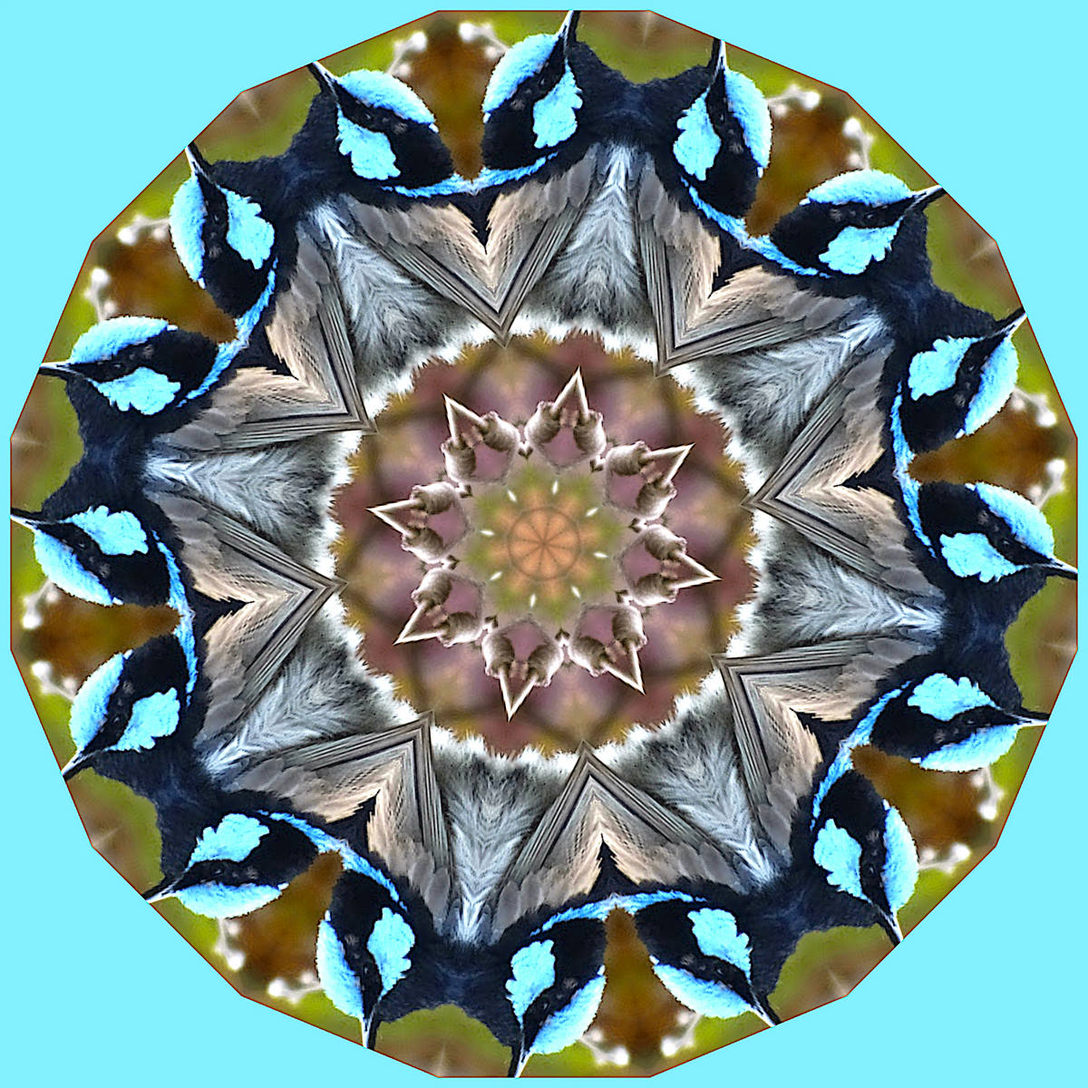 Solve #1 - large jigsaw puzzle online with 144 pieces