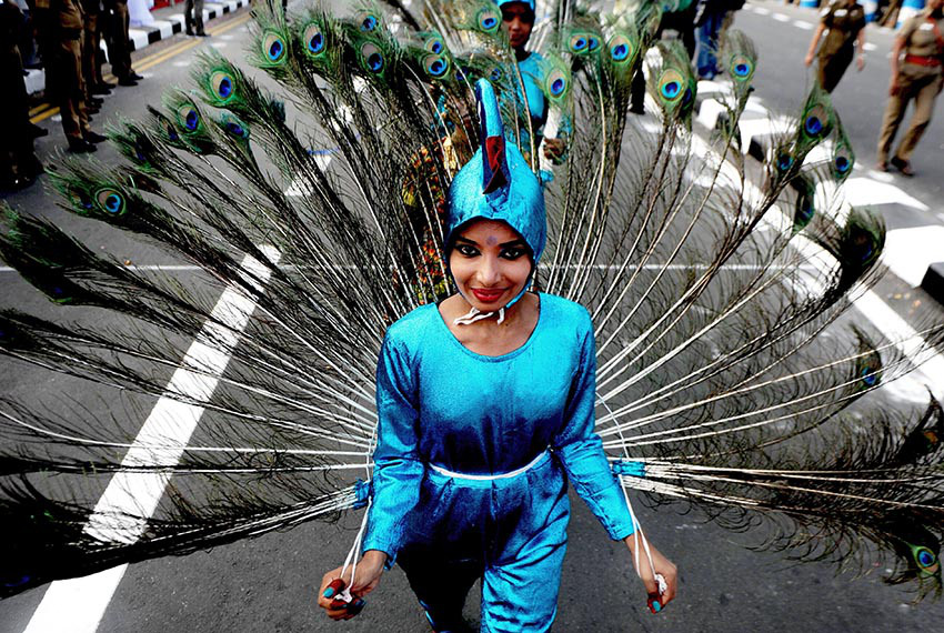 Solve Mayilattam peacock dance jigsaw puzzle online with 77 pieces