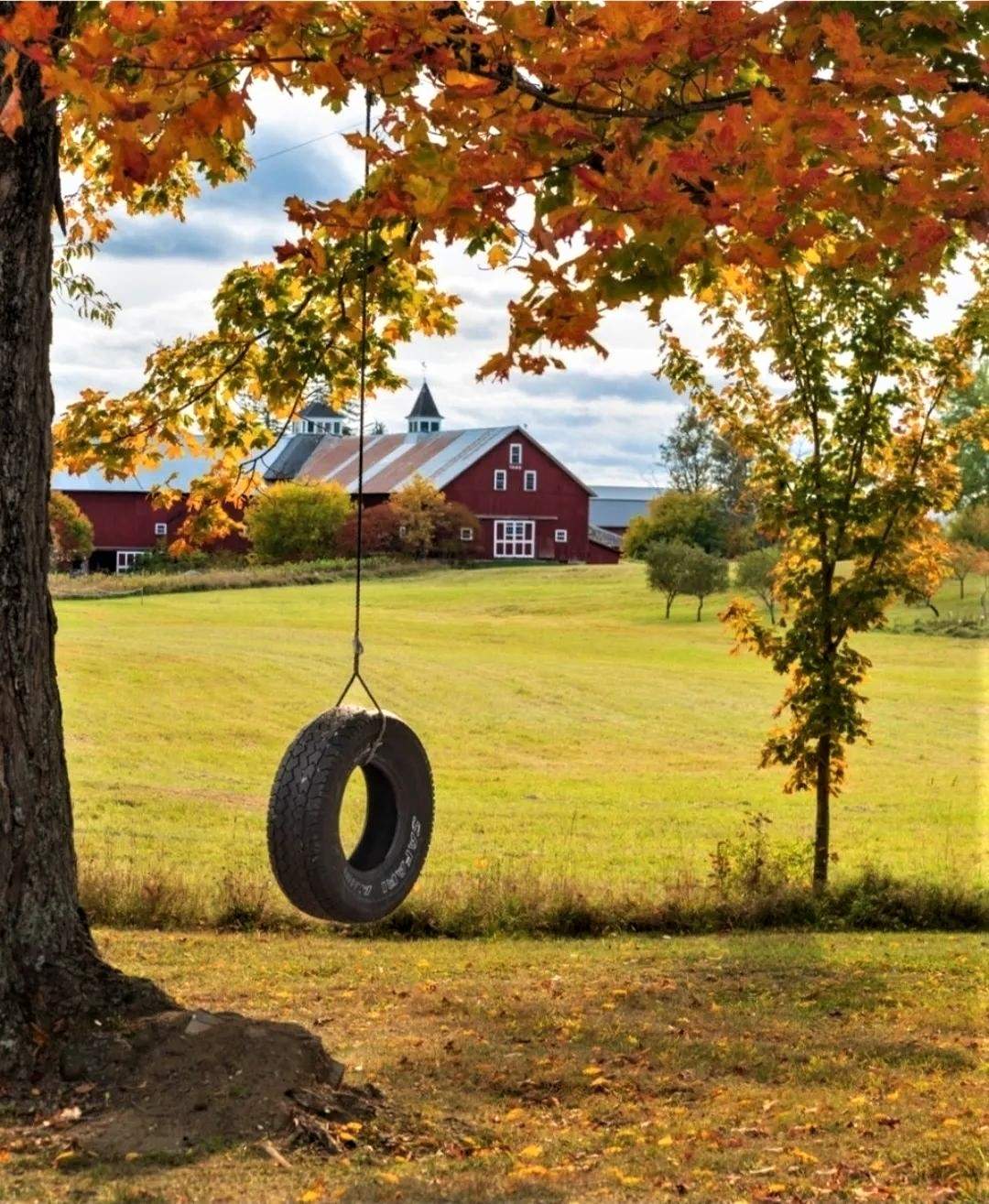 Solve The old tire swing jigsaw puzzle online with 120 pieces