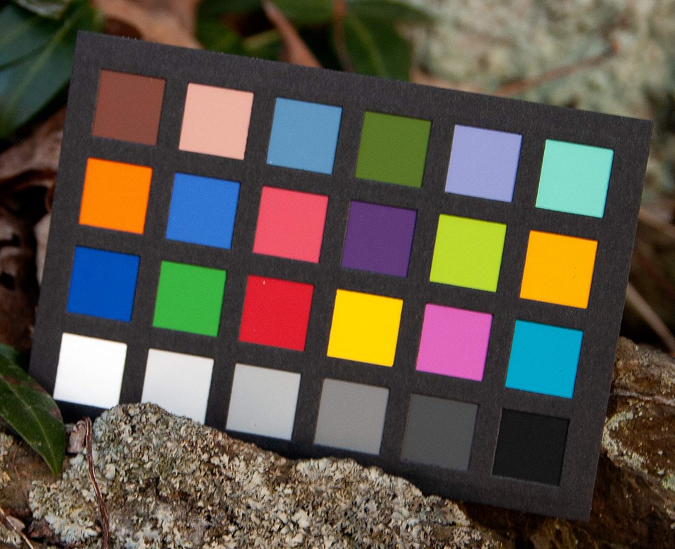 Solve Macbeth Color Chart jigsaw puzzle online with 99 pieces