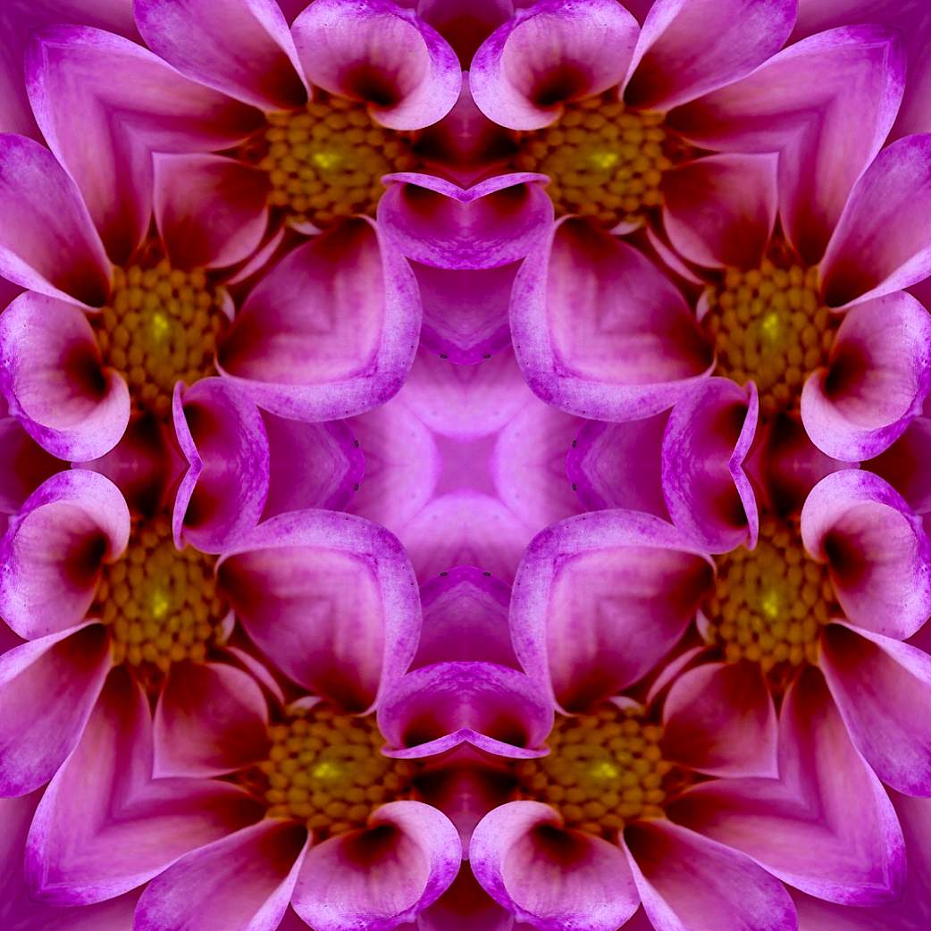 Jigsaw Puzzle | #2 very small | 25 pieces | Jigidi