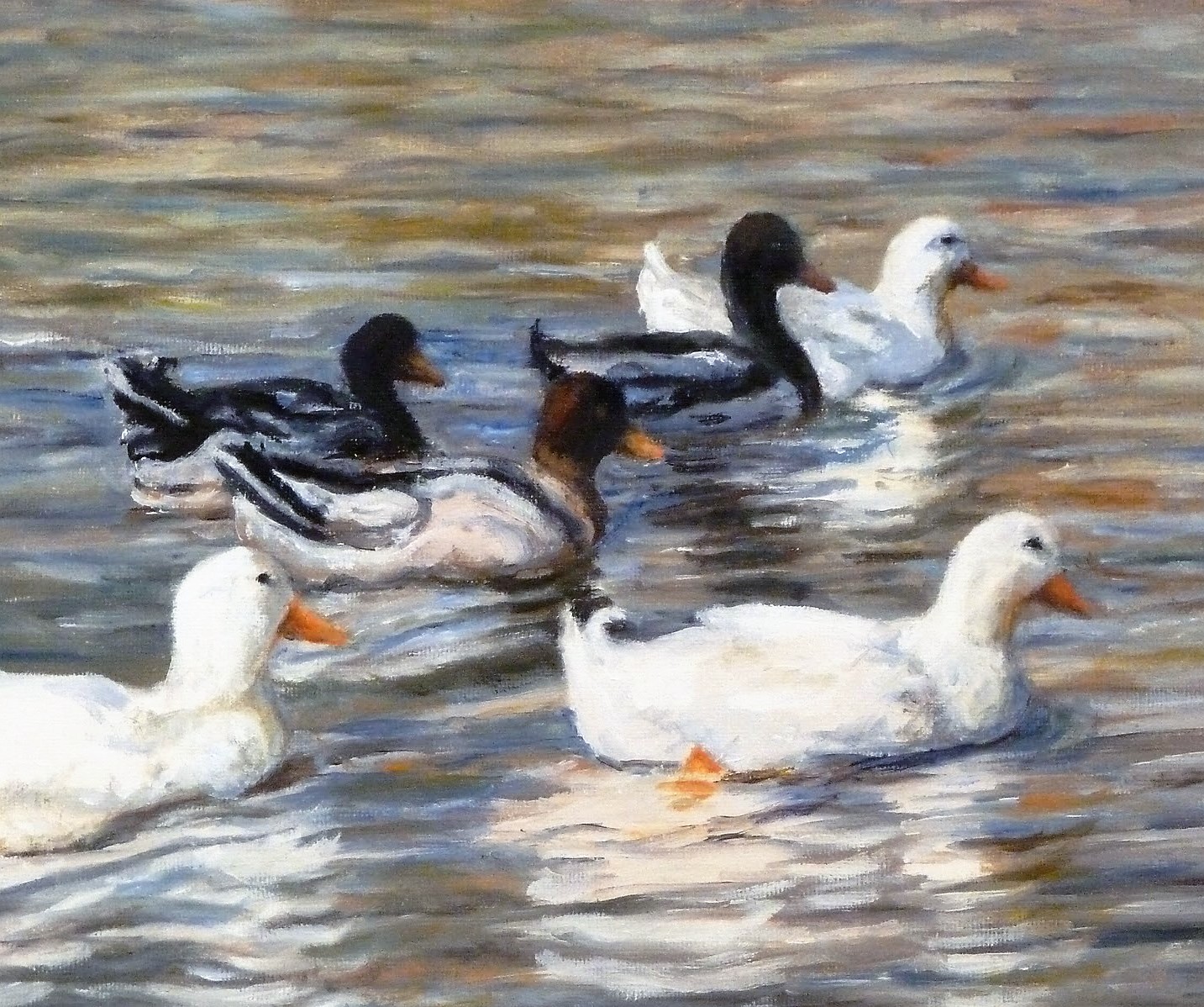 Solve Ducks jigsaw puzzle online with 270 pieces