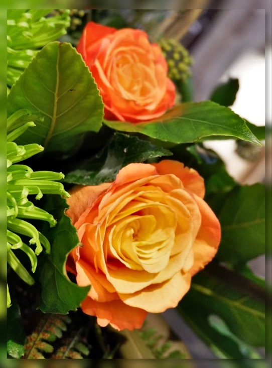 Solve Fantastic Duo jigsaw puzzle online with 12 pieces