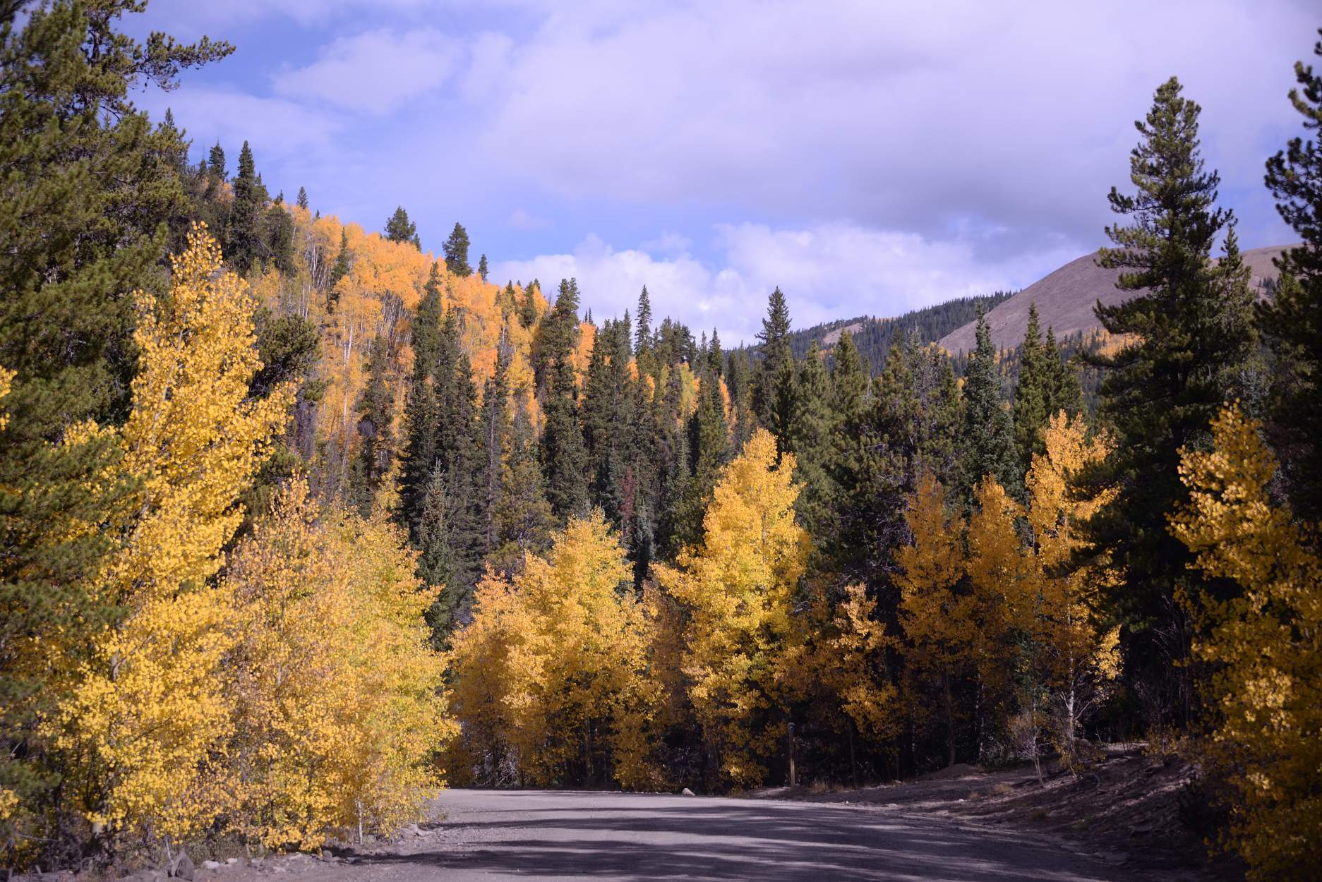 Solve Colorado Fall Colors 2022 - Boreas Pass jigsaw puzzle online with ...