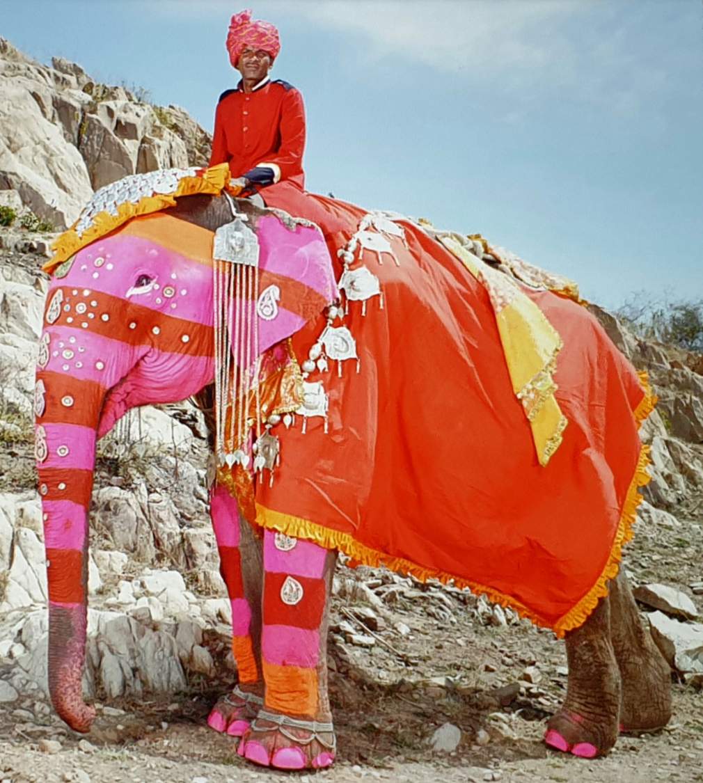 Solve JAIPUR'S ELEPHANT FESTIVAL jigsaw puzzle online with 30 pieces