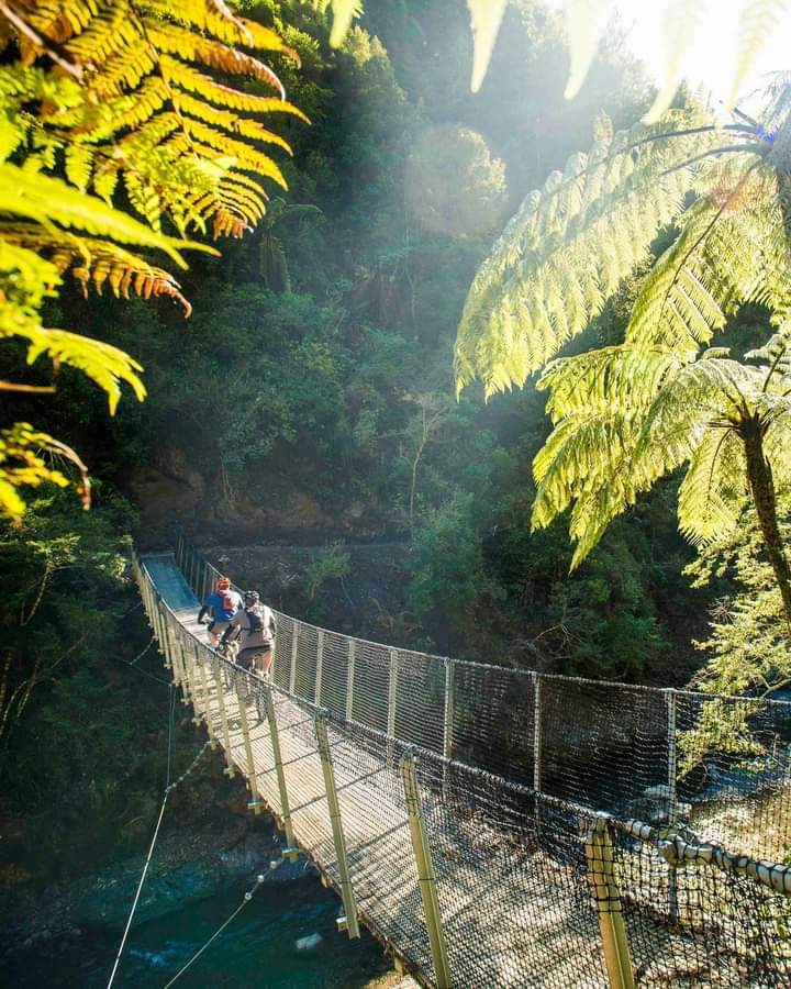 Solve Swing bridge in the bush jigsaw puzzle online with 42 pieces