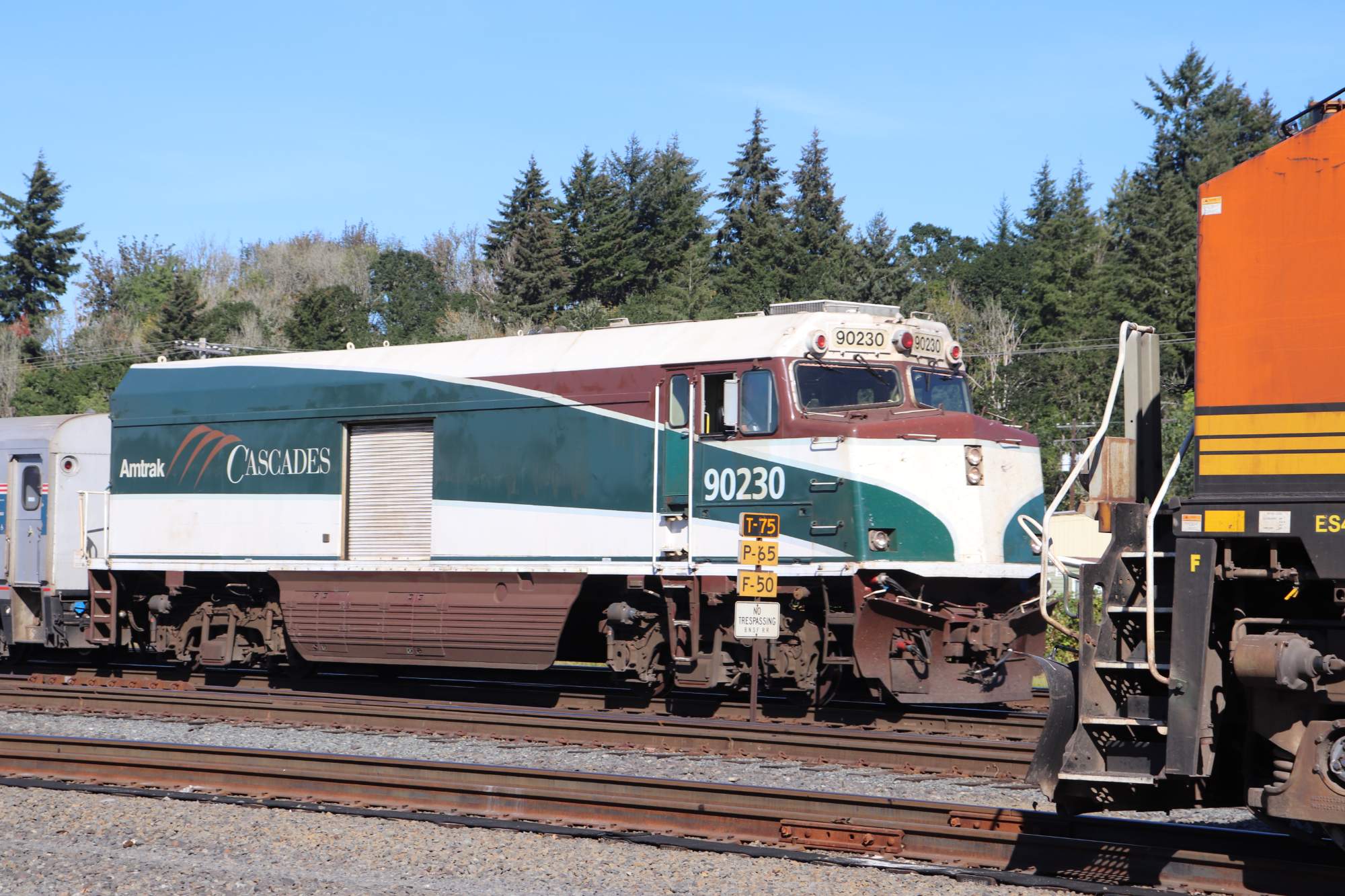 Jigsaw Puzzle | Amtrak Cascades NPCU | 294 pieces | Jigidi