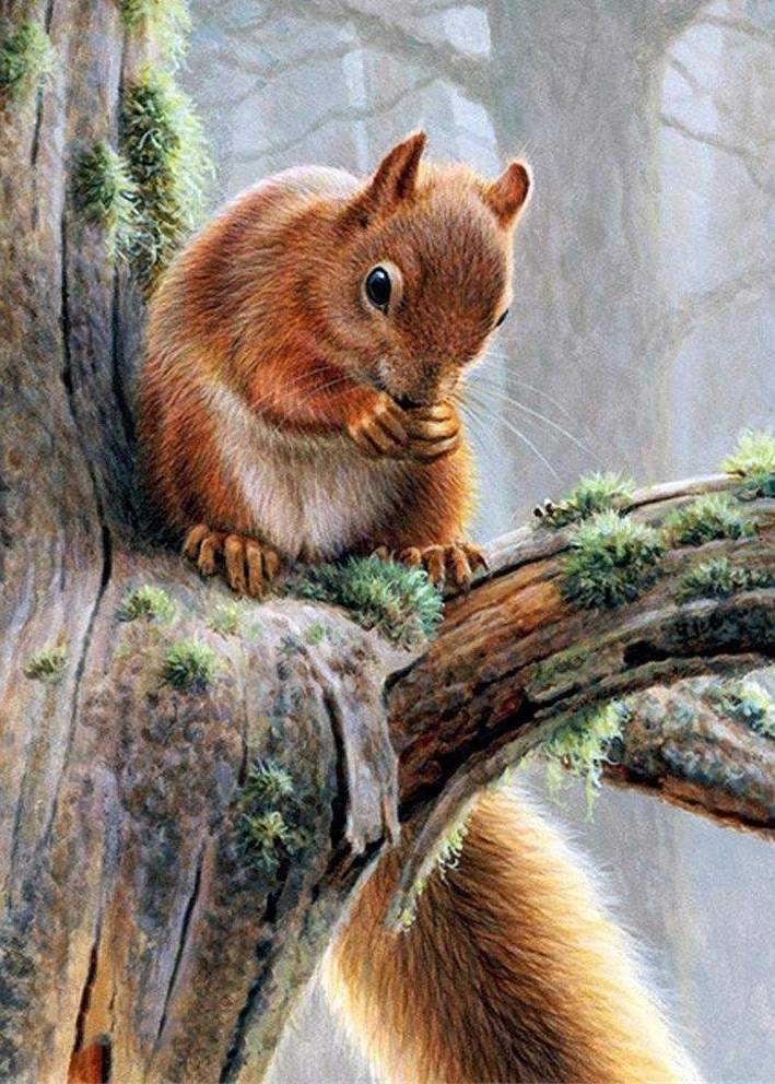 Solve Squirrel jigsaw puzzle online with 108 pieces