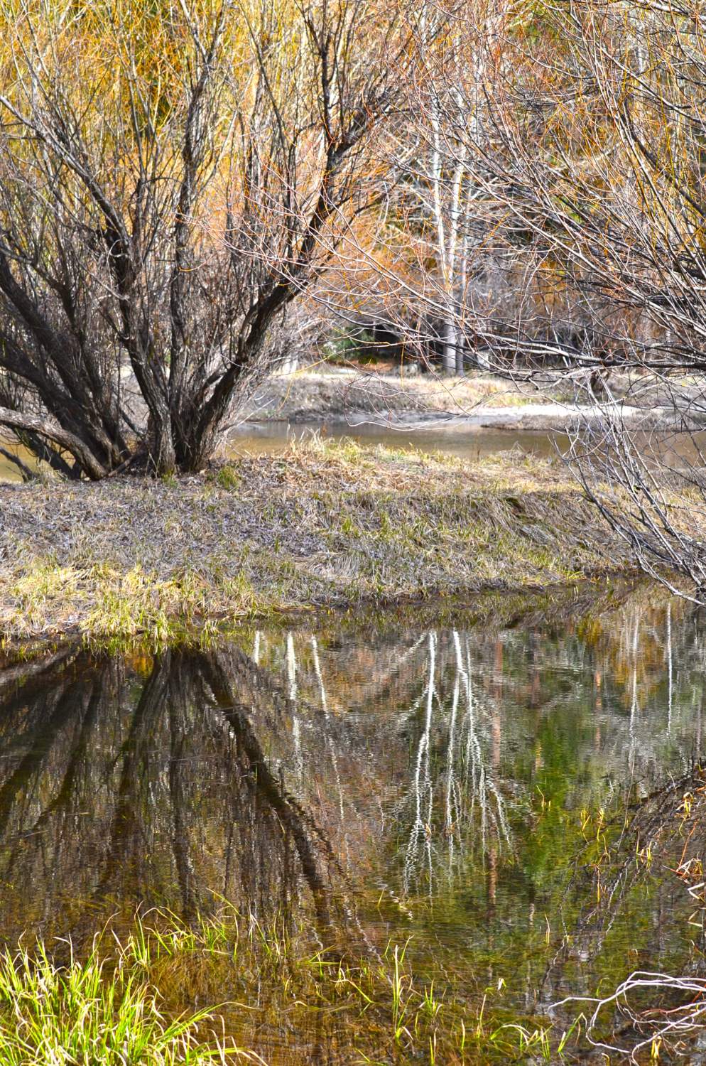 Solve autumn reflection jigsaw puzzle online with 176 pieces