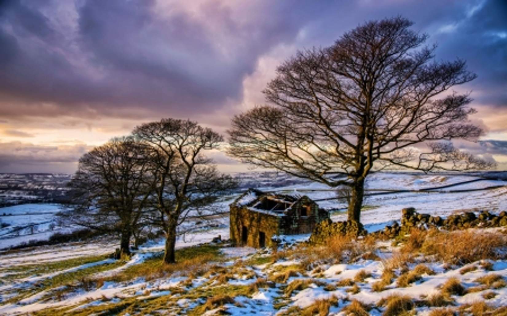 Solve First November Snowfall jigsaw puzzle online with 252 pieces