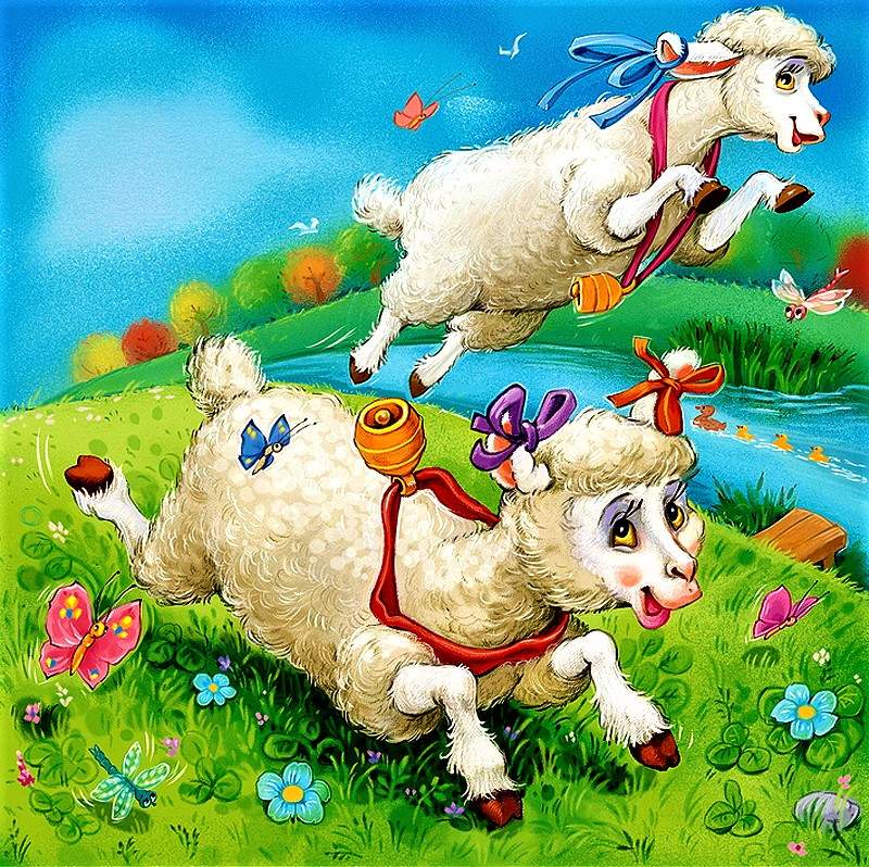 Solve lambs jigsaw puzzle online with 64 pieces