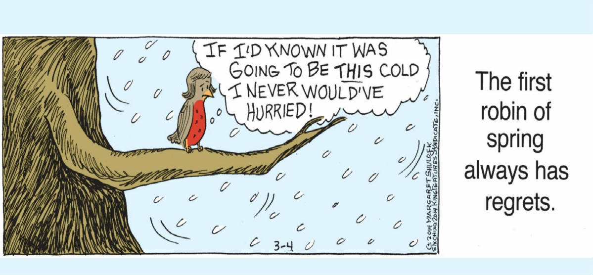 Solve First Robin of Spring jigsaw puzzle online with 36 pieces