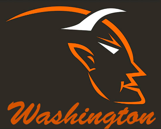 Solve Washington Demons jigsaw puzzle online with 63 pieces