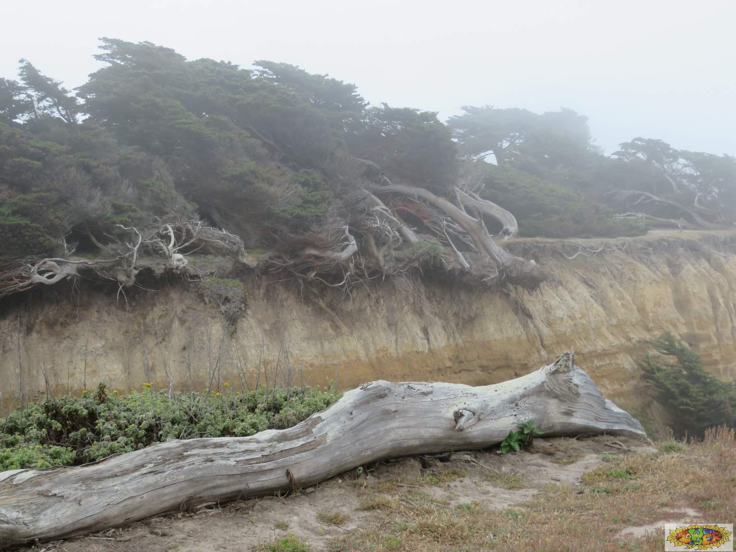 Jigsaw Puzzle | Falling, and Fallen | 88 pieces | Jigidi