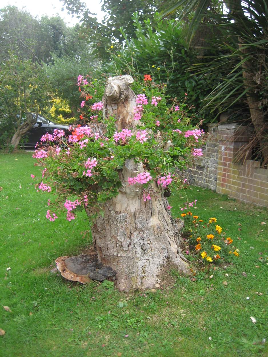 Solve Recycled tree stump jigsaw puzzle online with 80 pieces