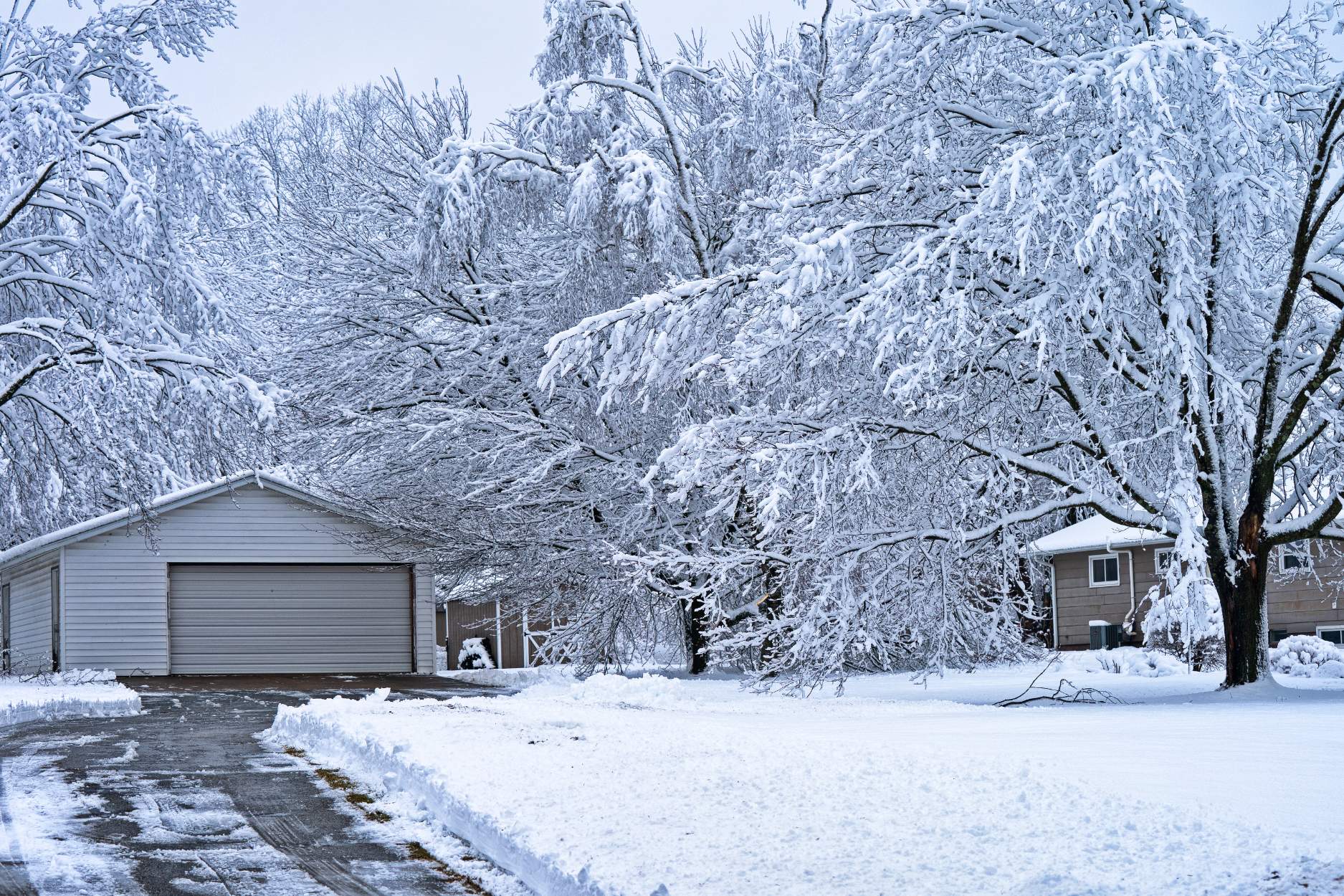 Solve December Snowfall jigsaw puzzle online with 150 pieces