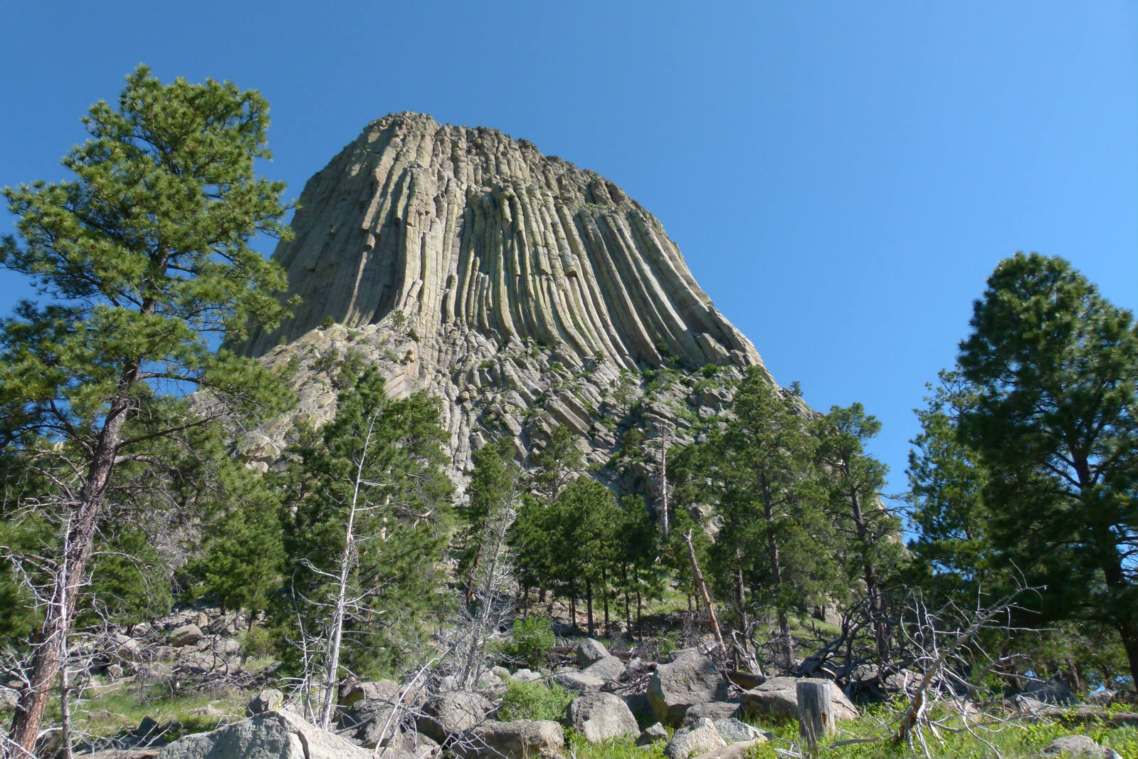 Solve puzzle 152 Devils Tower Wyoming jigsaw puzzle online with 425 pieces