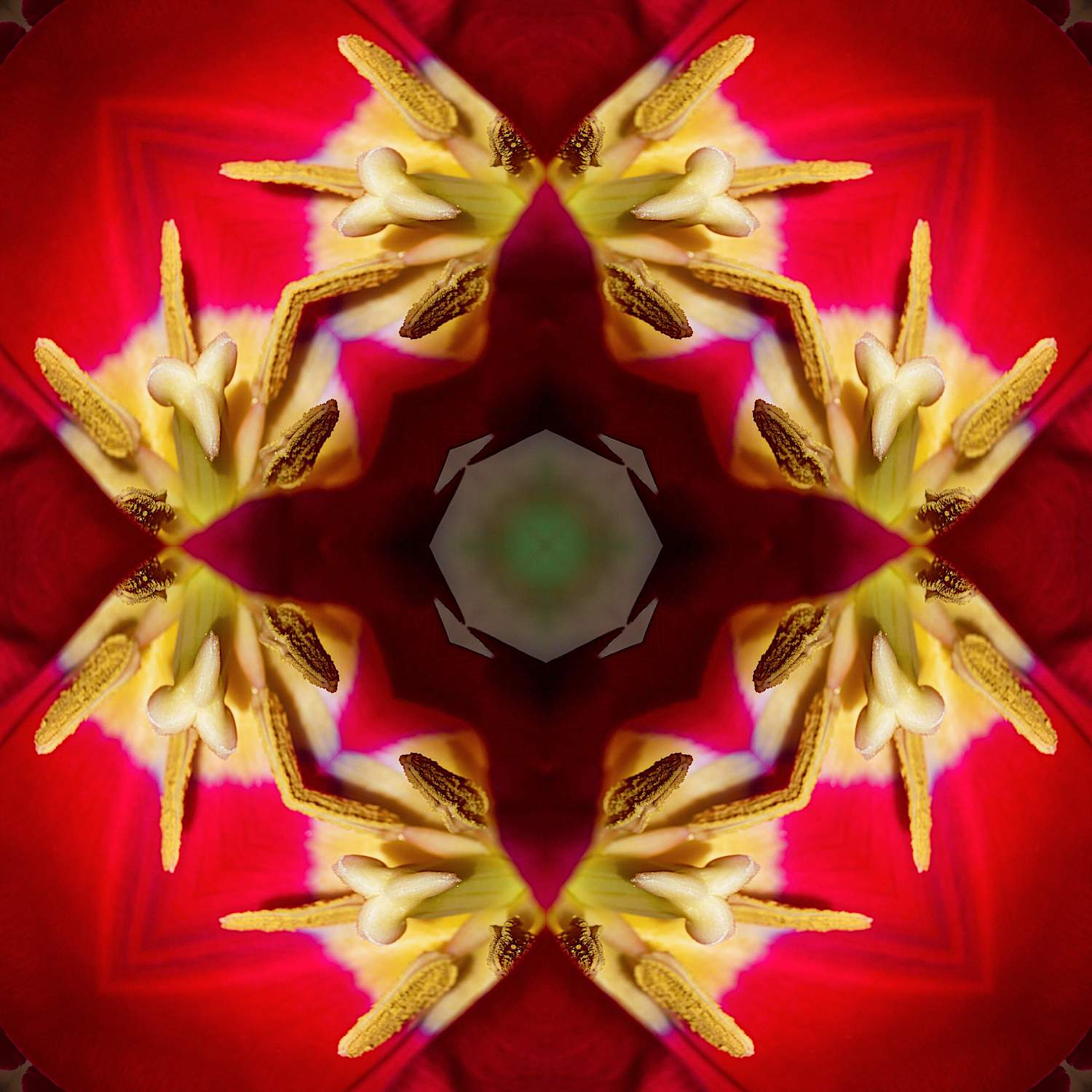 Solve #2 very large (oops.) jigsaw puzzle online with 225 pieces