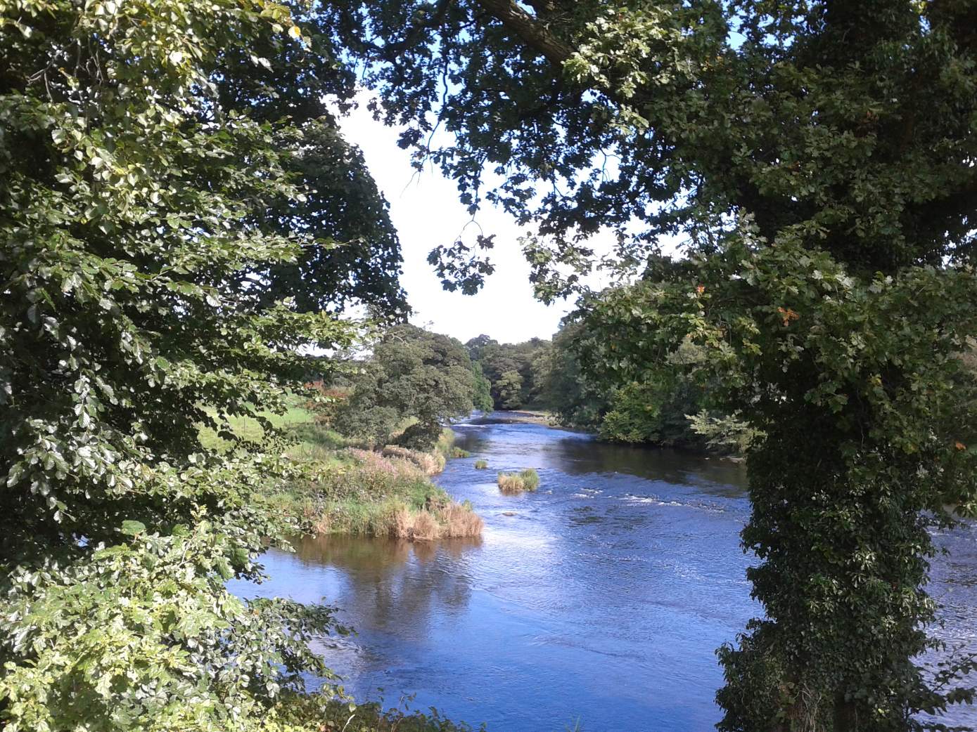 Solve River near Hurst Green jigsaw puzzle online with 35 pieces