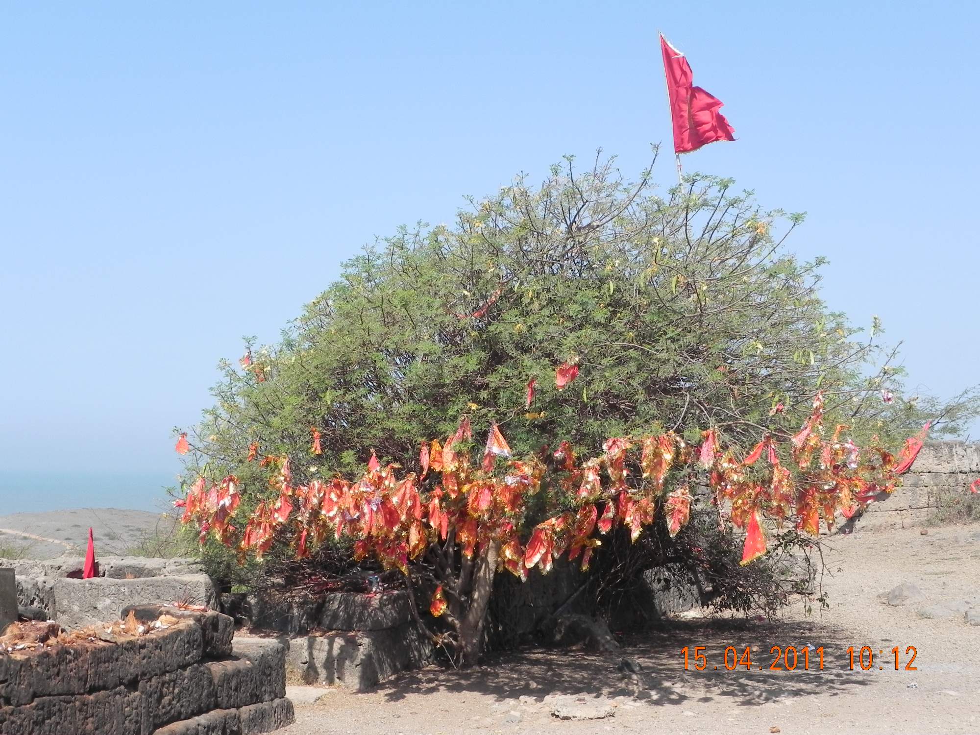 Solve Holy tree with Prayer flags jigsaw puzzle online with 192 pieces