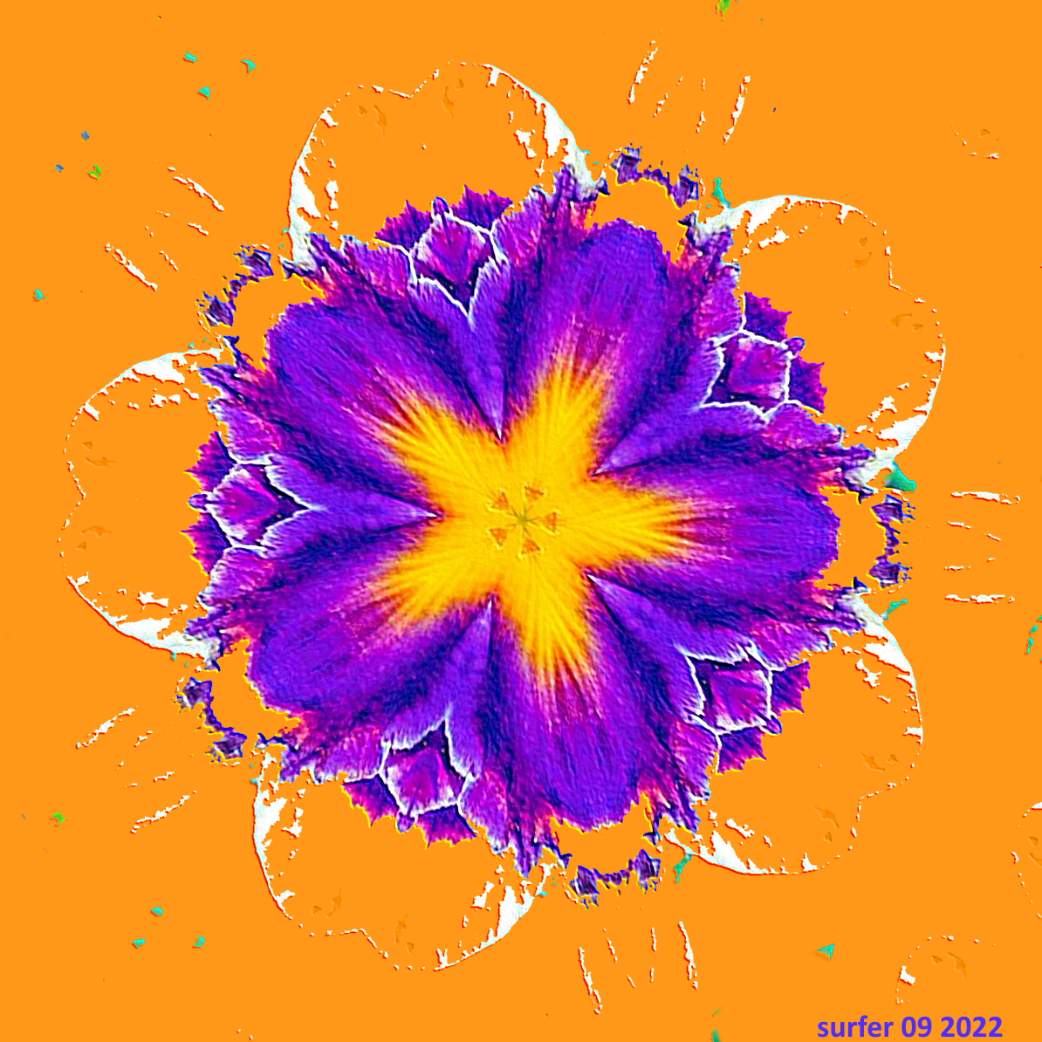 Jigsaw Puzzle | Little Flower | 25 pieces | Jigidi