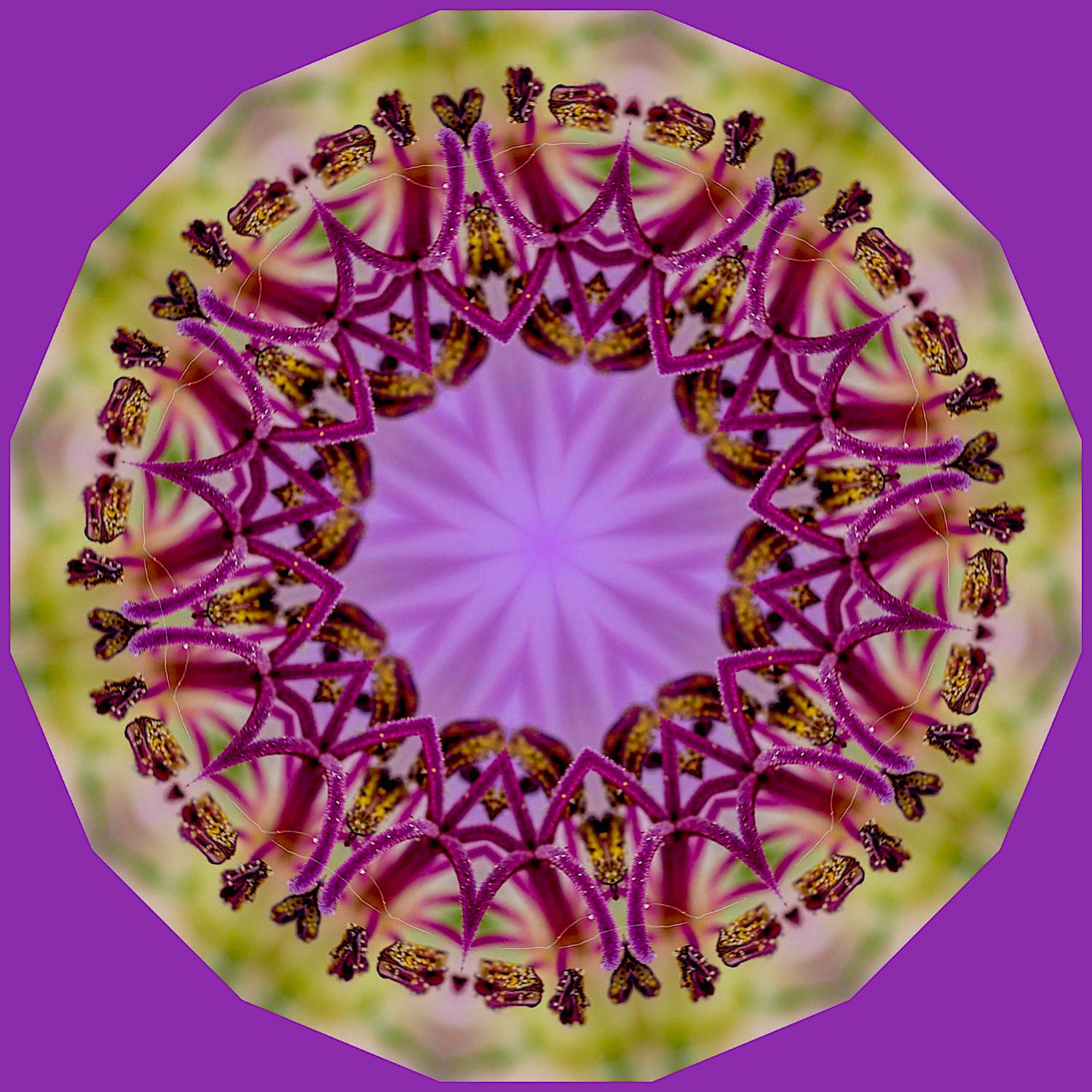 Solve #2 large jigsaw puzzle online with 144 pieces