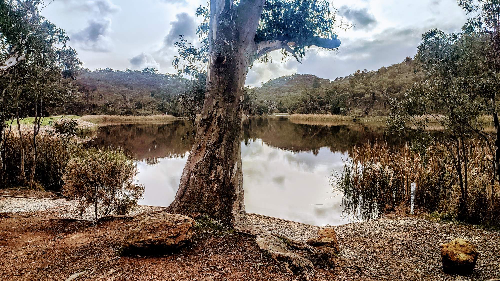 Solve The Australian Bush jigsaw puzzle online with 180 pieces