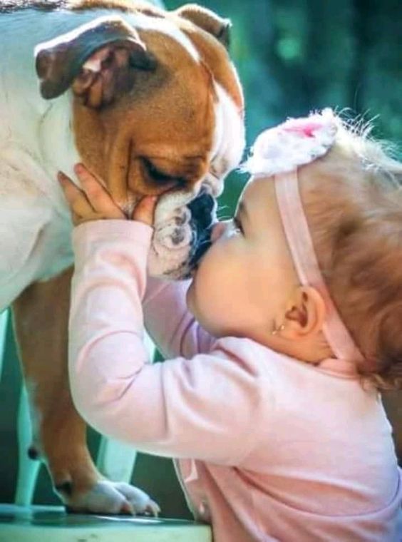 Solve ahjk jigsaw puzzle online with 48 pieces