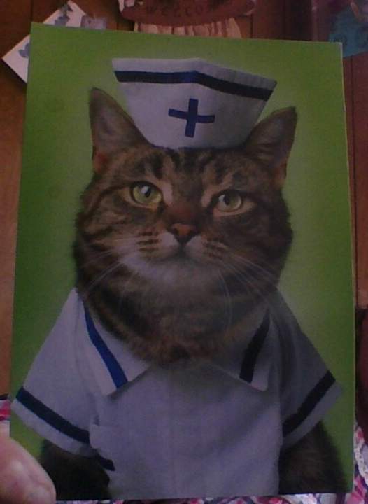 Solve IMG_20220903_9/25/22 news from Penny, Sunday update jigsaw puzzle ...