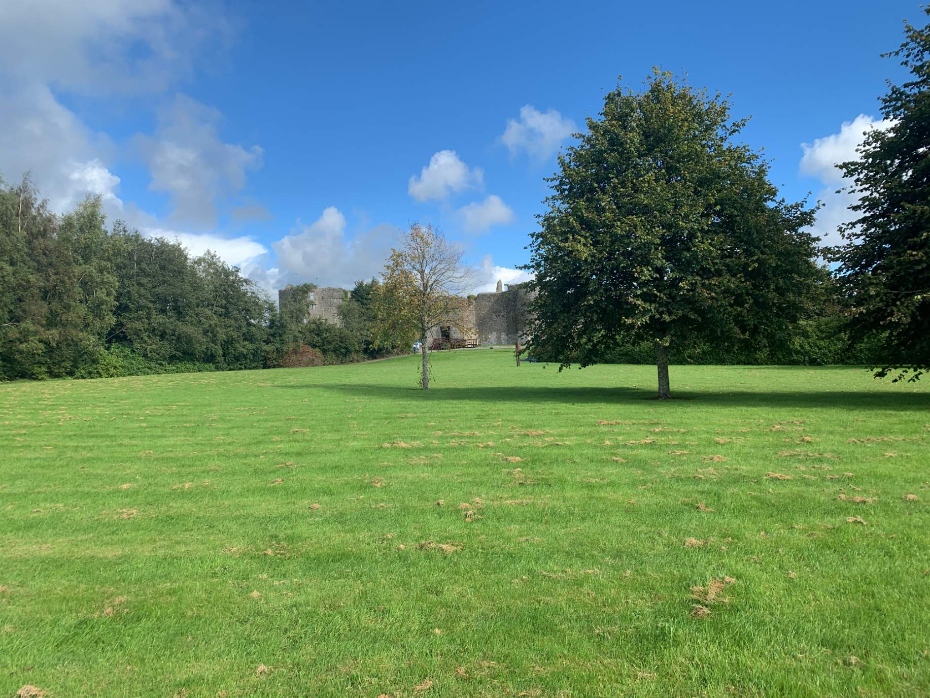 Solve Roscommon Park jigsaw puzzle online with 165 pieces