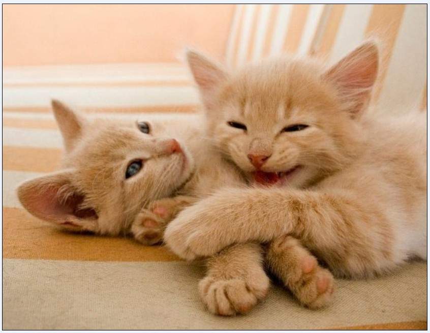 Solve Úsměv_Smile jigsaw puzzle online with 35 pieces