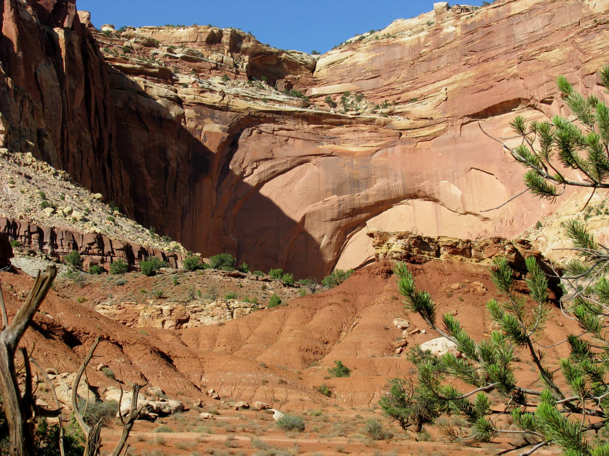 Solve A Scene From Capitol Reef National Park jigsaw puzzle online with ...