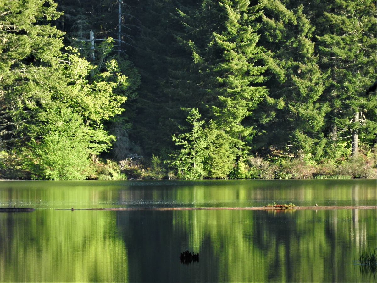 Solve Headwater Barney Reservoir jigsaw puzzle online with 80 pieces