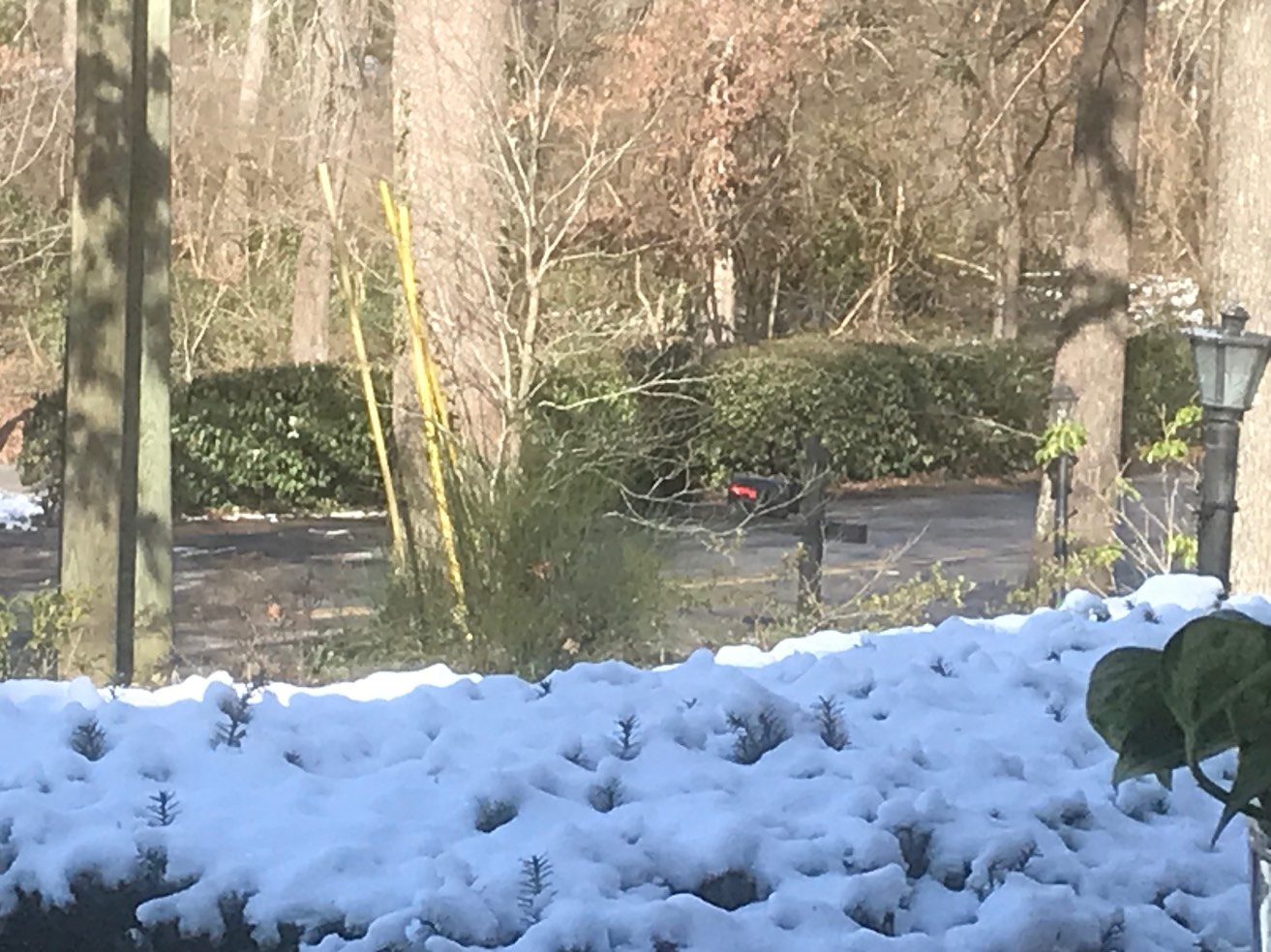 Solve Snow, power pole, mailbox flag jigsaw puzzle online with 30 pieces