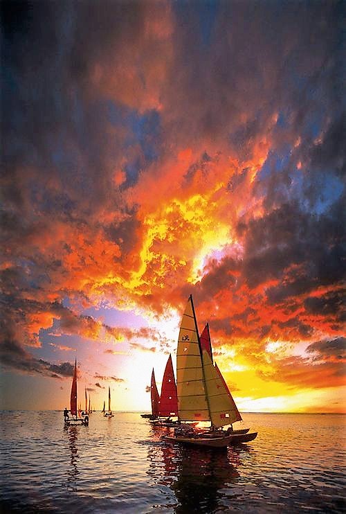Solve Red Sails in the Sunset [update] jigsaw puzzle online with 40 pieces
