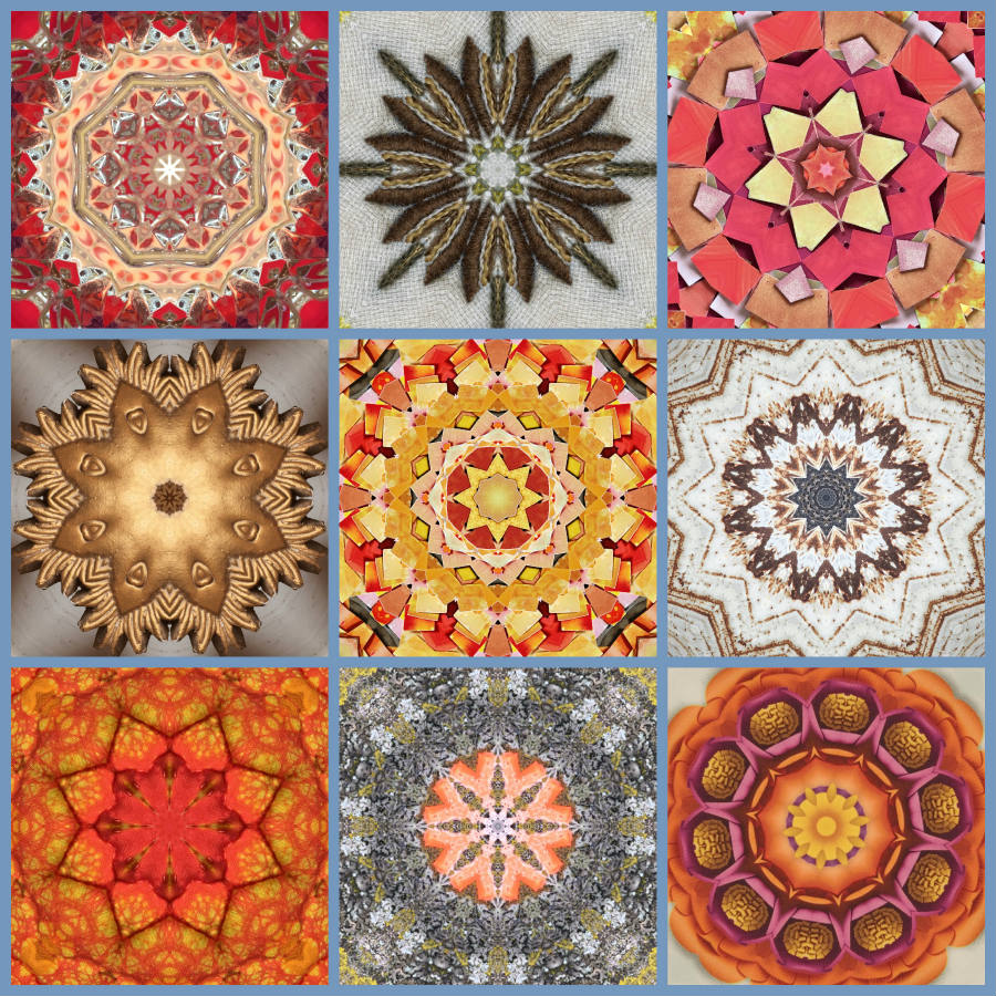 Solve 3 x 3 338 jigsaw puzzle online with 81 pieces