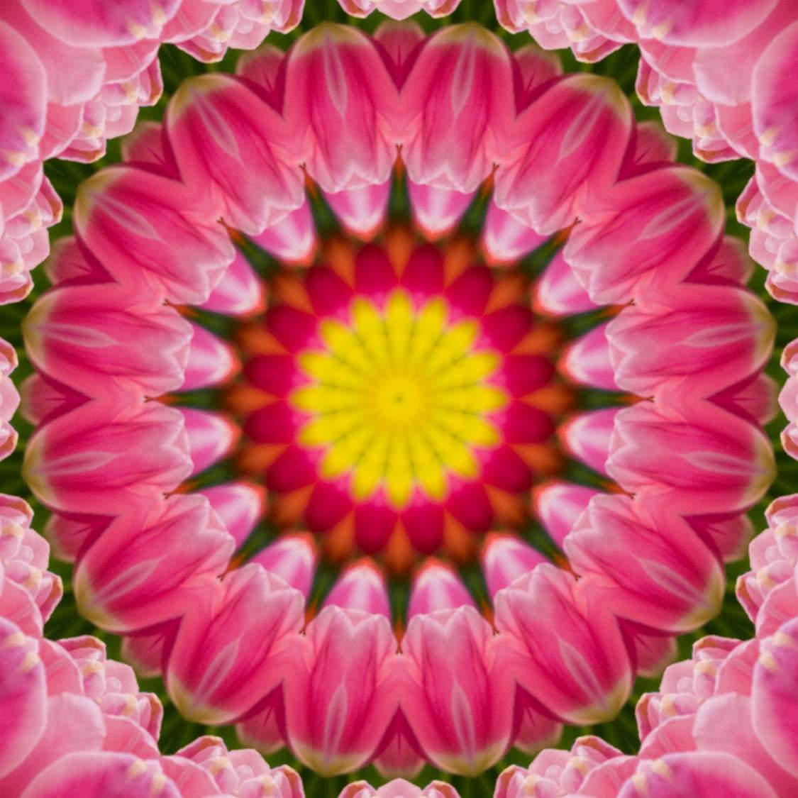Solve 605 Pink Small Jigsaw Puzzle Online With 36 Pieces solve-605-pink-small-jigsaw-puzzle-online-with-36-pieces