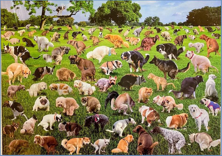 Solve 101 Pooping Puppies jigsaw puzzle online with 96 pieces