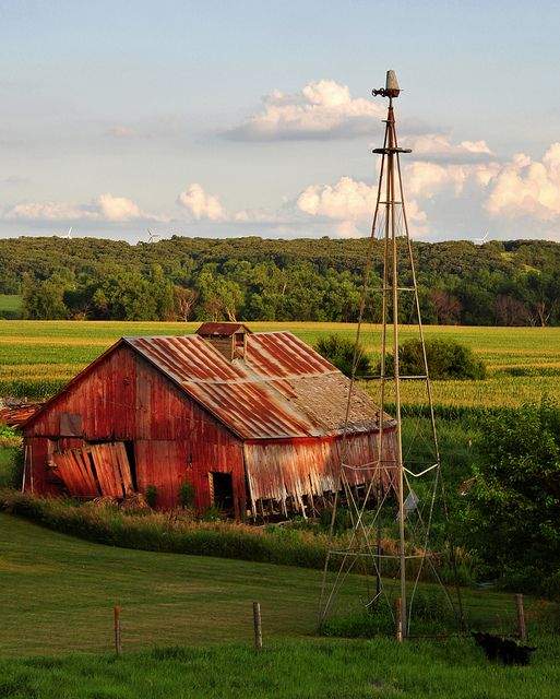 Solve A little TLC needed jigsaw puzzle online with 80 pieces