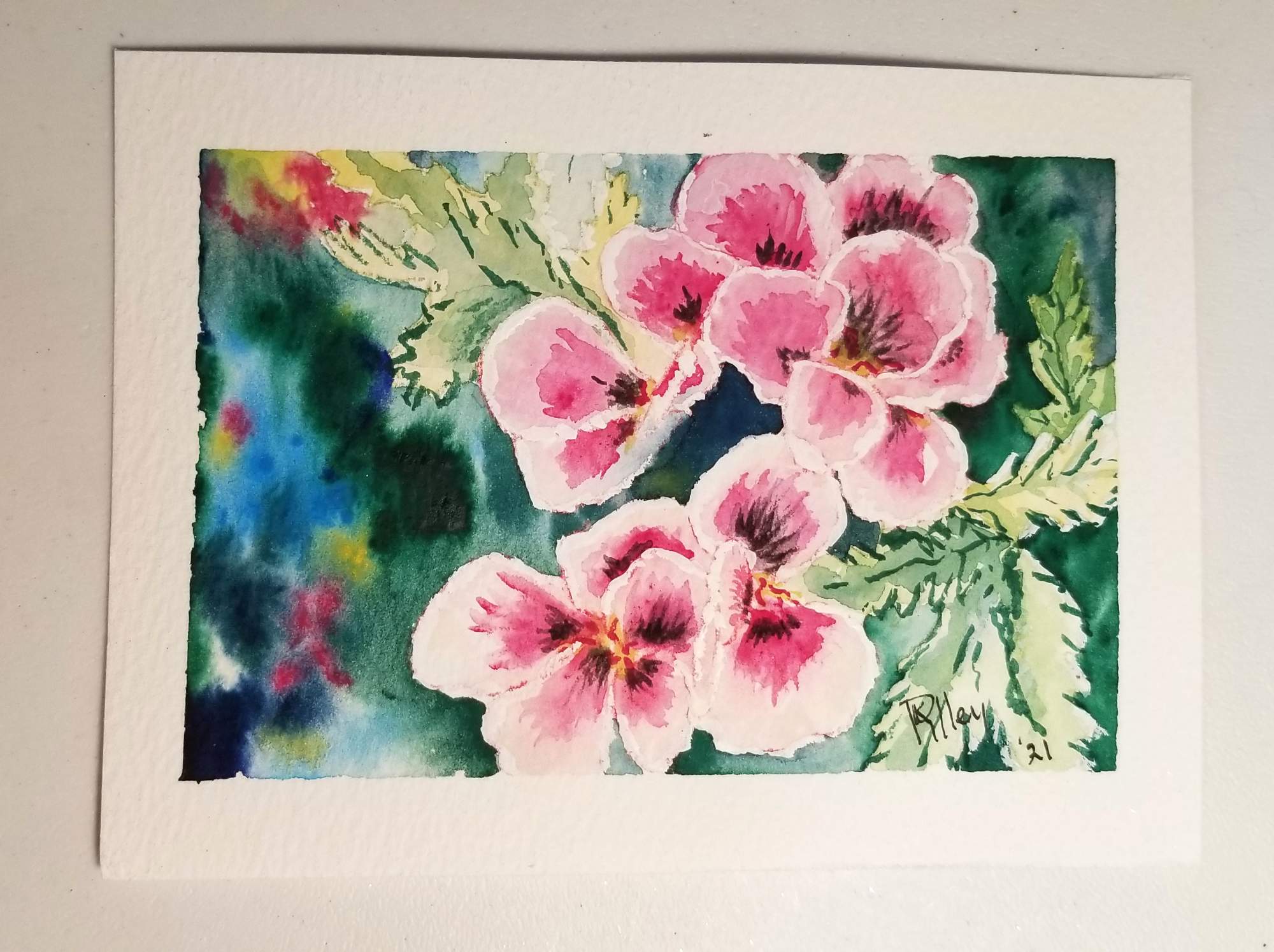 Solve geranium.pink.n1 jigsaw puzzle online with 588 pieces