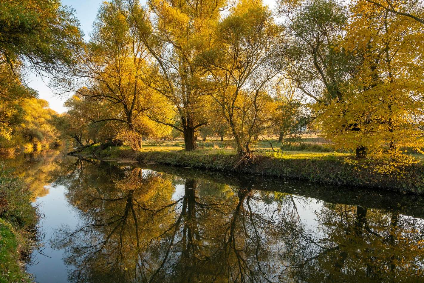 Solve River Ipeľ 2,Šahy, Slovakia jigsaw puzzle online with 35 pieces