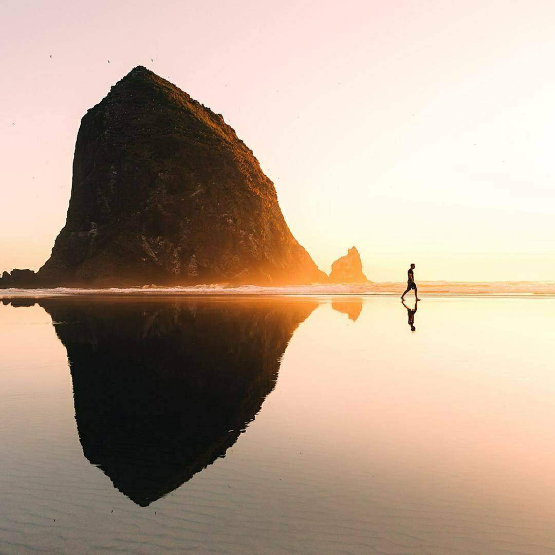 Solve REFLECTIONS jigsaw puzzle online with 169 pieces