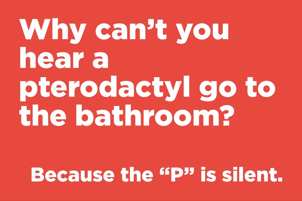 Solve DAILY FUNNY jigsaw puzzle online with 24 pieces