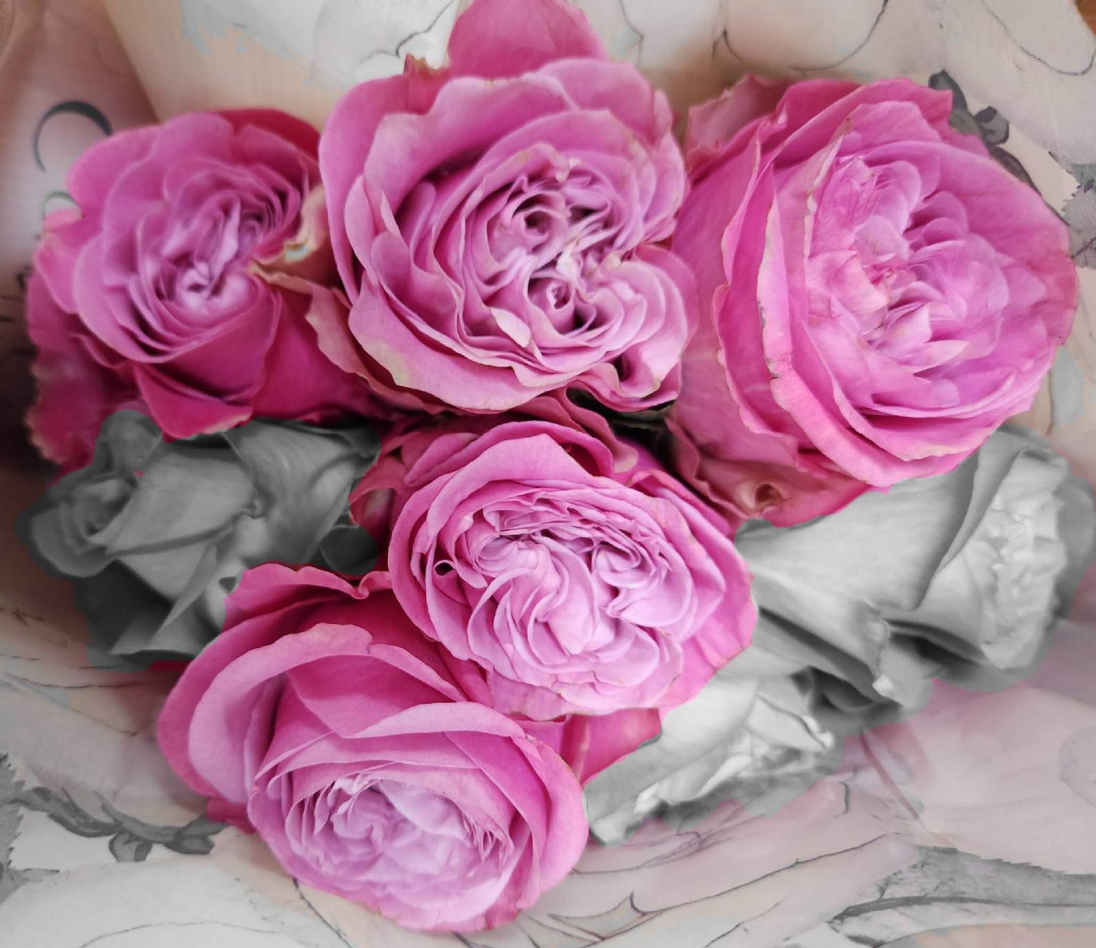 Solve pink jigsaw puzzle online with 143 pieces