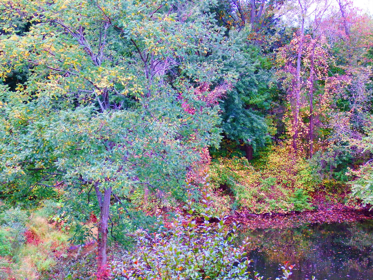 Solve Changing colors jigsaw puzzle online with 130 pieces